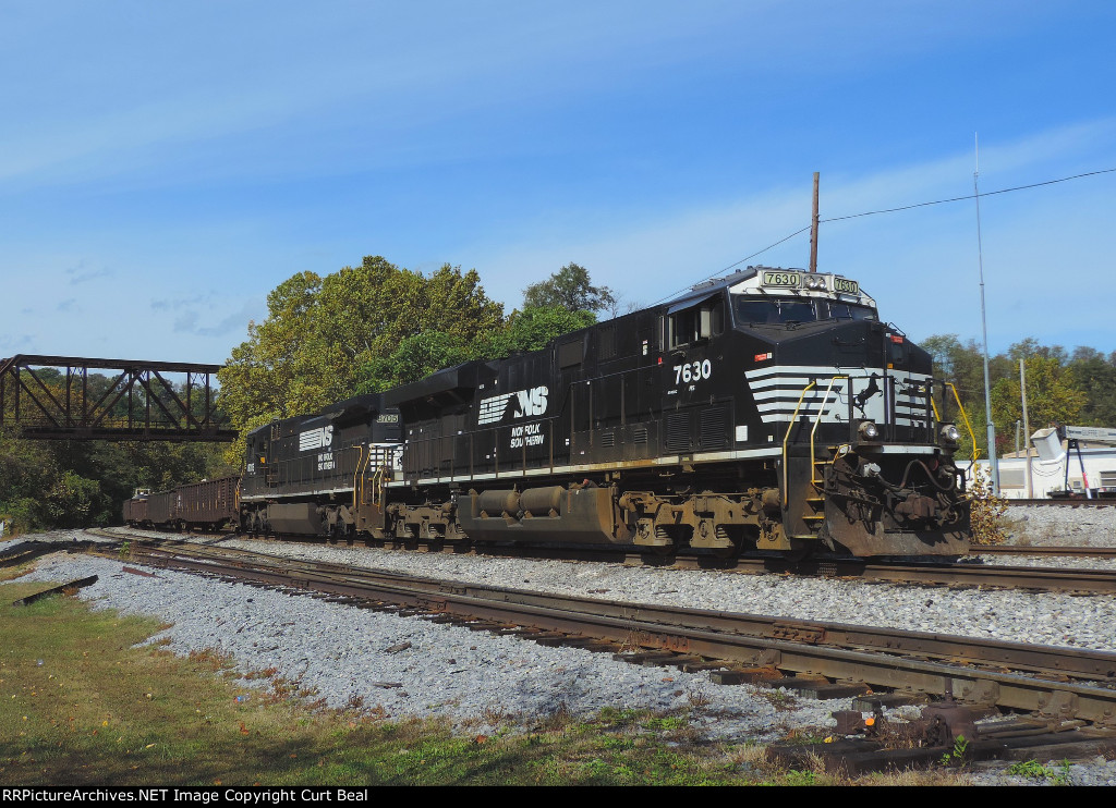 NS 7630 and 8705 Q394-06 (1)